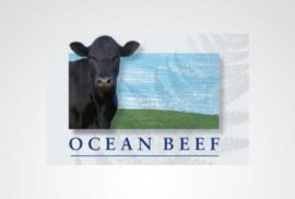 ESSOR IMPORT - Importateur, grossiste et distributeur alimentaire